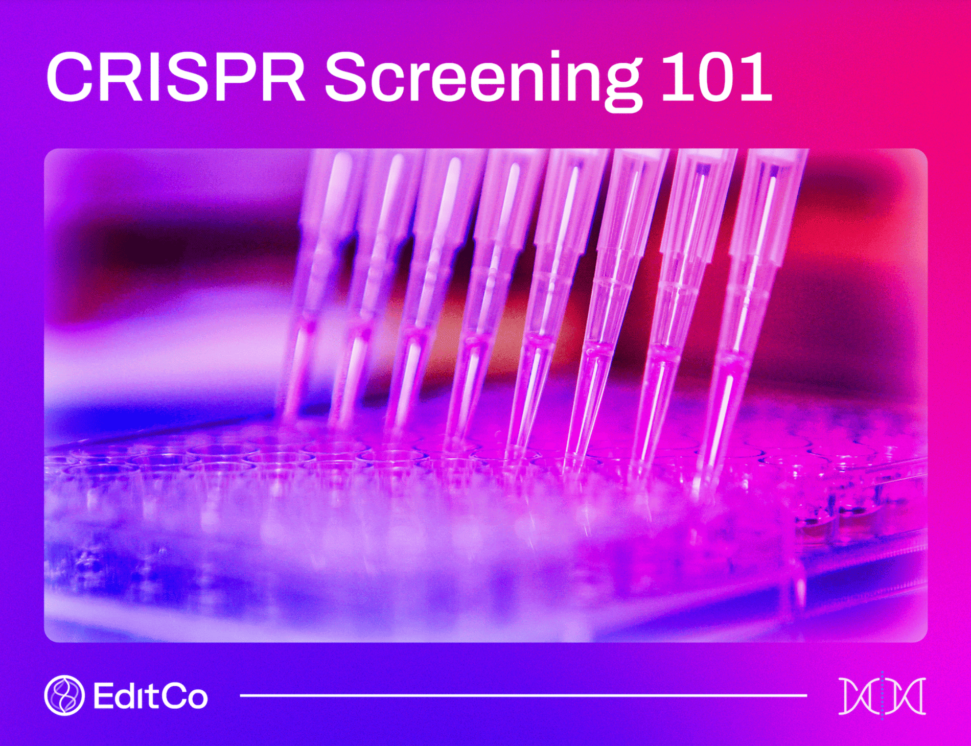 CRISPR Screening 101 | EditCo
